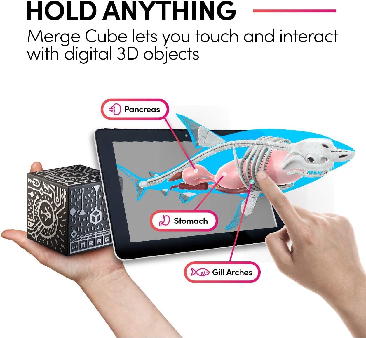 Merge Cube - Augmented & Virtual Reality Science & STEM Toy - Educational Tool - Hands-on Digital Teaching Aids - Science Simulations - Home School, Remote & in Classroom Learning - iOS & Android