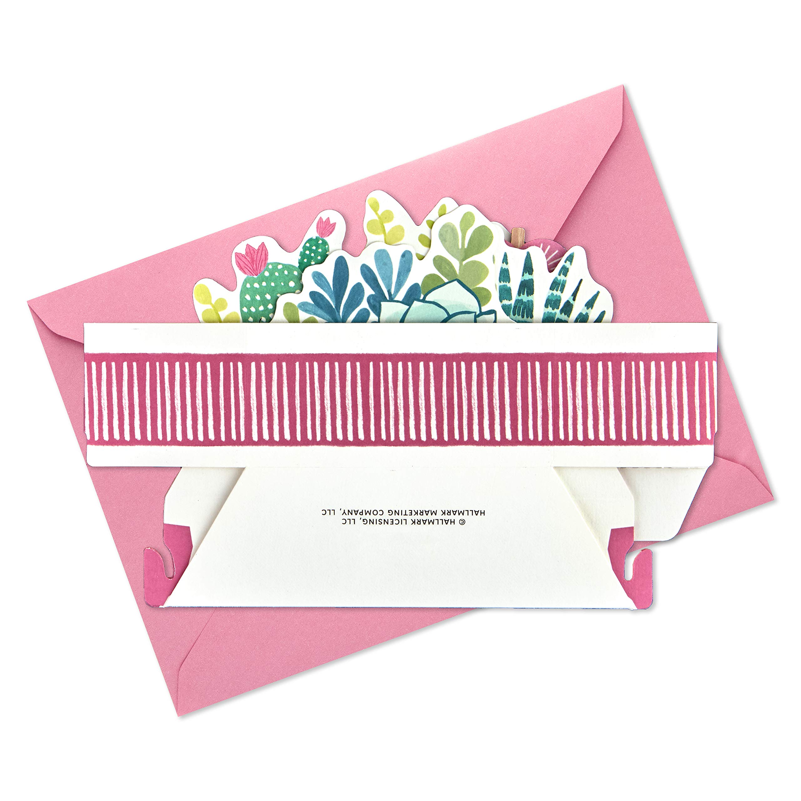 Hallmark Pop Up Birthday Card for Mom (Displayable Succulents and Flowers)