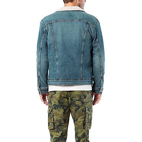 Levi Strauss Signature Gold Men's Signature Sherpa Lined Trucker Jacket, Johnny, Medium