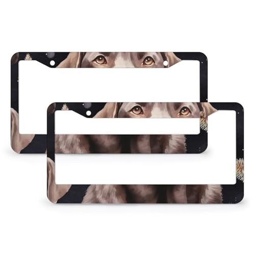 2 Pack Santa Dog Labrador License Plate Cover Xmas Lovely Dogs License Plate Cover License Plate Novelty License Plate Frame Stainless Aluminum 2 Round Holes for Girl Women Men Vehicles