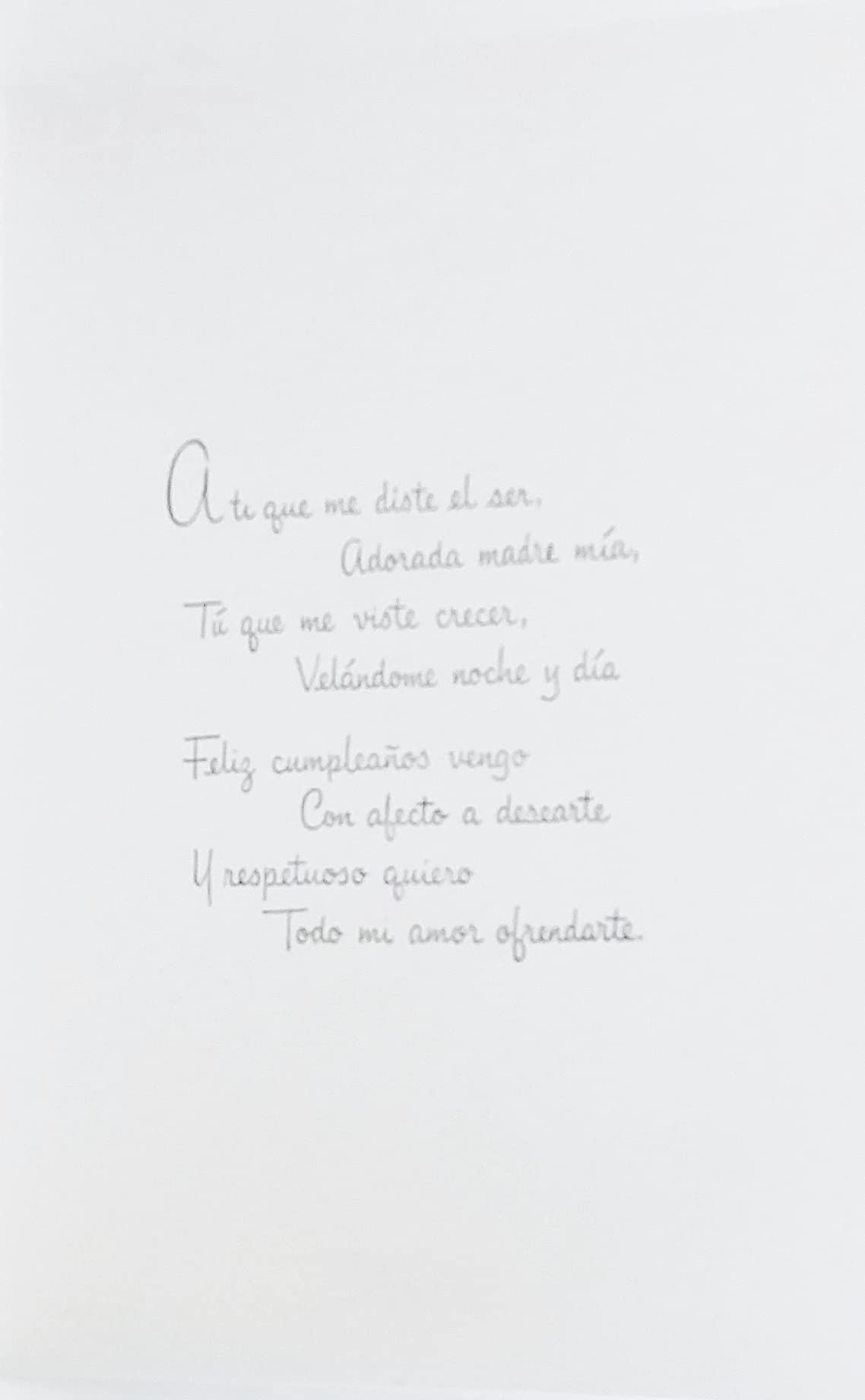 A Mi Adorada Madre En El Dia De Su Cumpleanos - Happy Birthday To Mom Greeting Card in Spanish Espanol