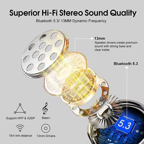 DHARUN Wireless Earbuds, Bluetooth 5.3 Earbuds with 20H Playtime, Wireless Earbuds with Microphone IPX7 Waterproof Stereo Sound True, Bluetooth Headphones for Sport and Working