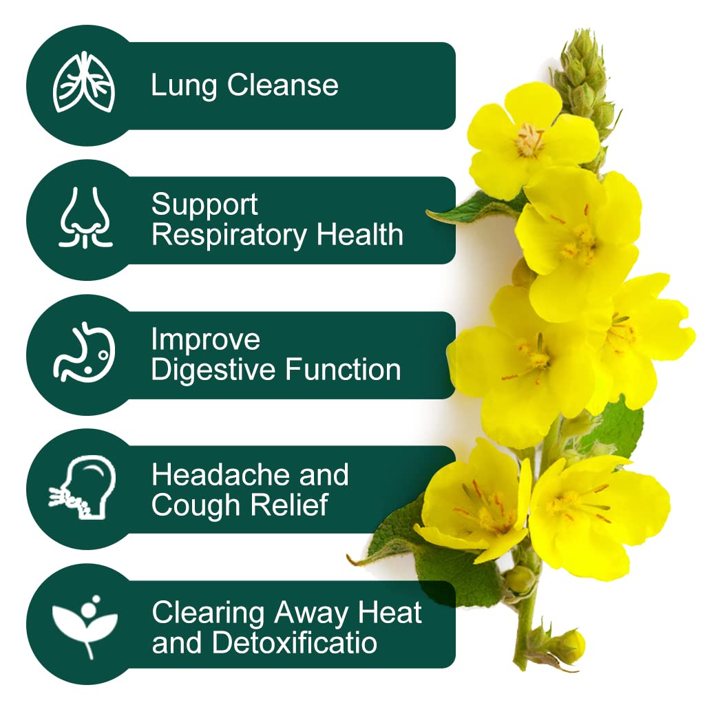 Mullein Leaf Tea Bags - Lungs Cleanse and Respiratory Support, Mullein Herbal Teas, Caffeine Free, 40 Tea Bags