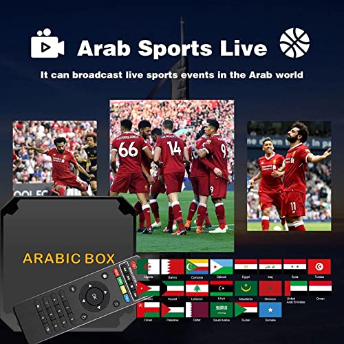 2023 New Arabic TV Box Arab TV Box The Upgrade Version of Arabic Box Strong Wi-Fi Support Bluetooth Core Mali-450 GPU