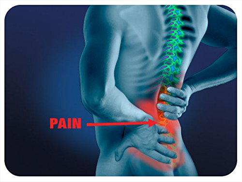 24Seven Wellness and Living Secret Back Pain Cure 2 DVD Exercises Designed to Promote Improved Stability and Posture.Yoga and Pilates Based Program for Relief of Lower, Upper Back Pain.