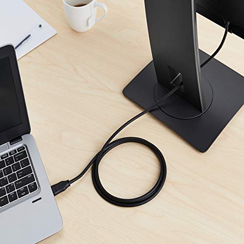 Amazon Basics DisplayPort to DisplayPort 1.2 Cable with 4K@60Hz, 2K@165Hz, 2K@144Hz Video Resolution - 6 Feet