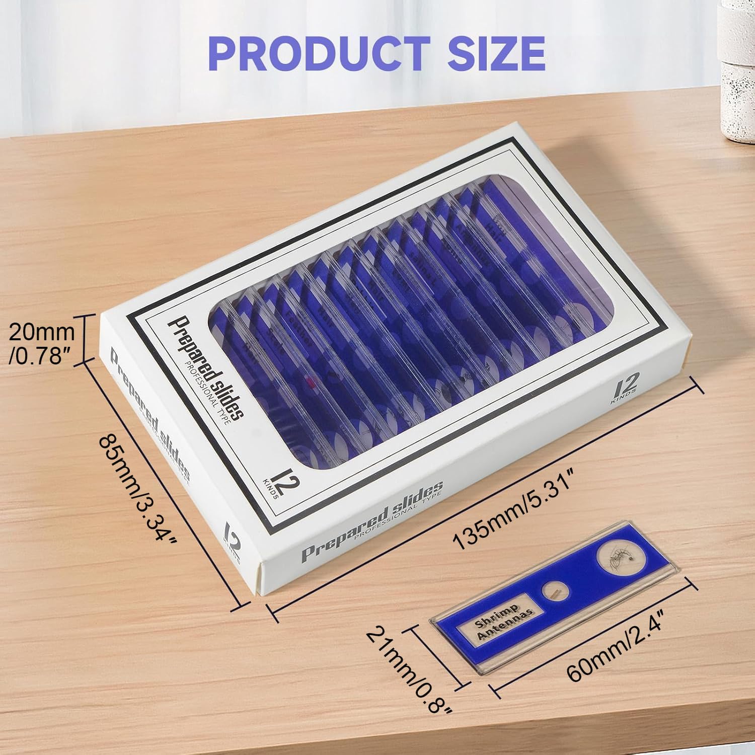 Jiusion 48Pcs Prepared Microscope Slides Specimen Animals Insects Plants Flowers Sample Biological Specimen, Stereo Microscope Slide for Kids Children Students Enlighten Education