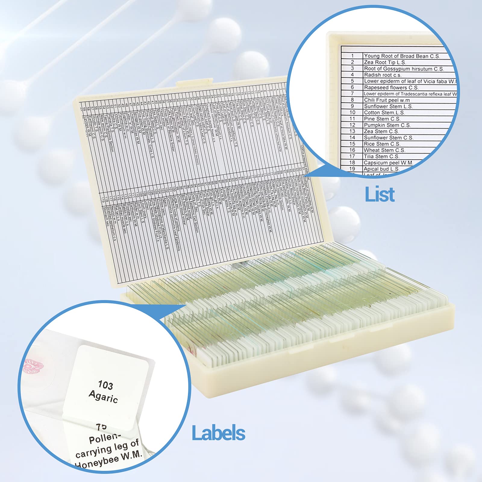 120 Microscope Slides with Specimens for Kids, Prepared Microscope Slides for Kids Microbiology, Prepared Microscope Slides for Adults