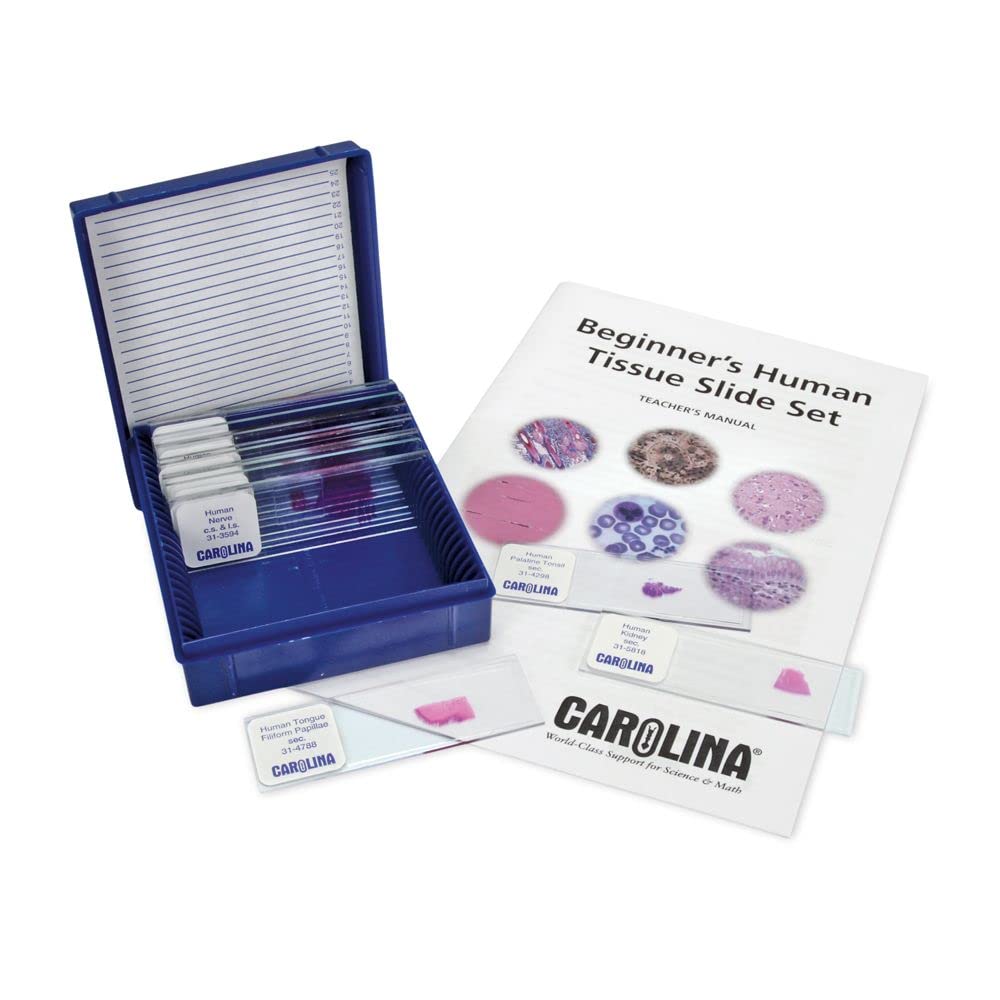 Beginner's Human Tissue Microscope Slide Set