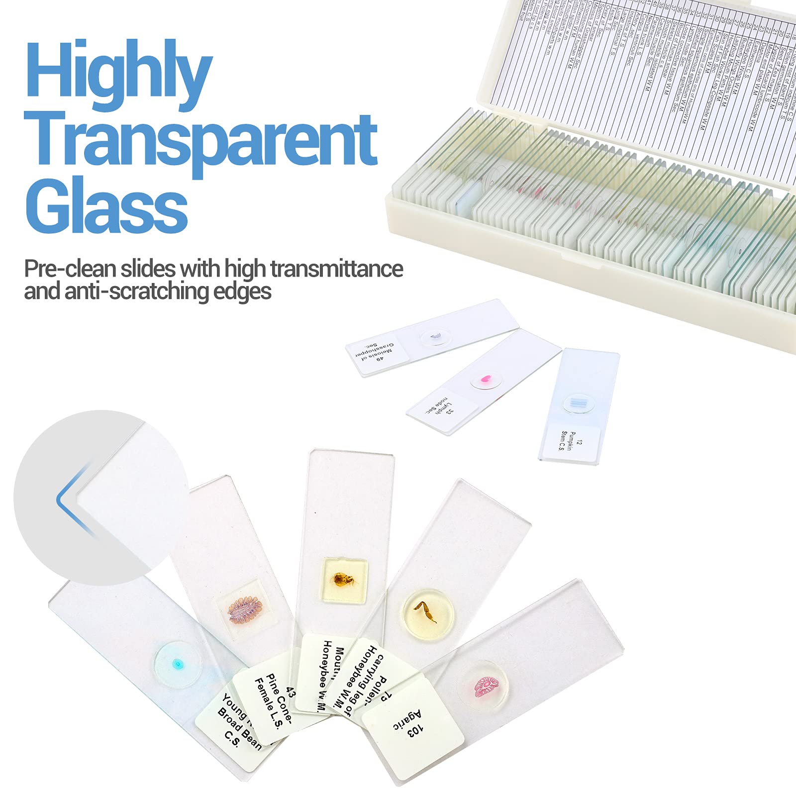 60 Microscope Slides with Specimens for Kids, Prepared Microscope Slides for Kids Microbiology, Prepared Microscope Slides for Adults