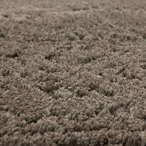 Mohawk Home Francesca Ornamental Medallion Gray 10' x 14' Shag Area Rug Perfect for Living Room, Dining Room, Office