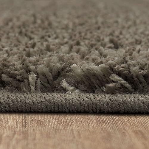 Mohawk Home Francesca Ornamental Medallion Gray 10' x 14' Shag Area Rug Perfect for Living Room, Dining Room, Office