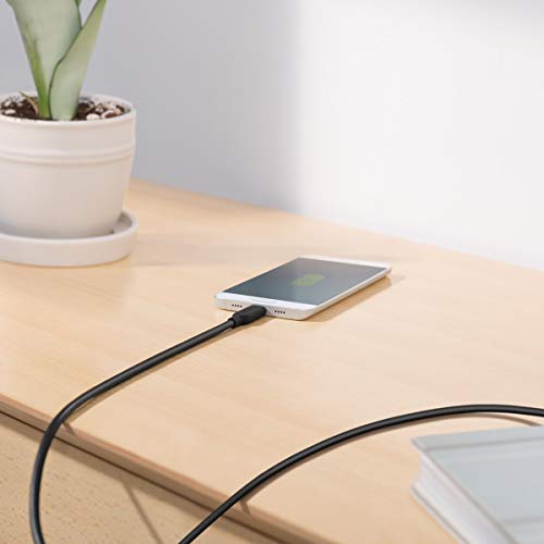Anker Powerline II USB-C to USB-C 3.1 Gen 2 Cable (3ft) with Power Delivery, for Apple MacBook, Huawei Matebook, iPad Pro 2020, Chromebook, Pixel, Switch, and More Type-C Devices/Laptops