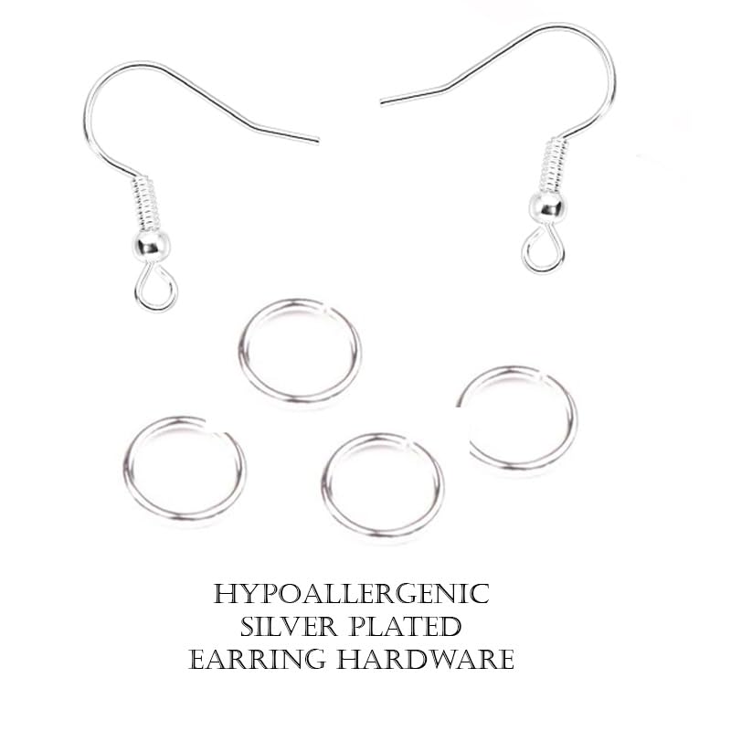 Game Controller Earrings Hypoallergenic Silver Plated Fishhooks Yazzle Dazzle Black