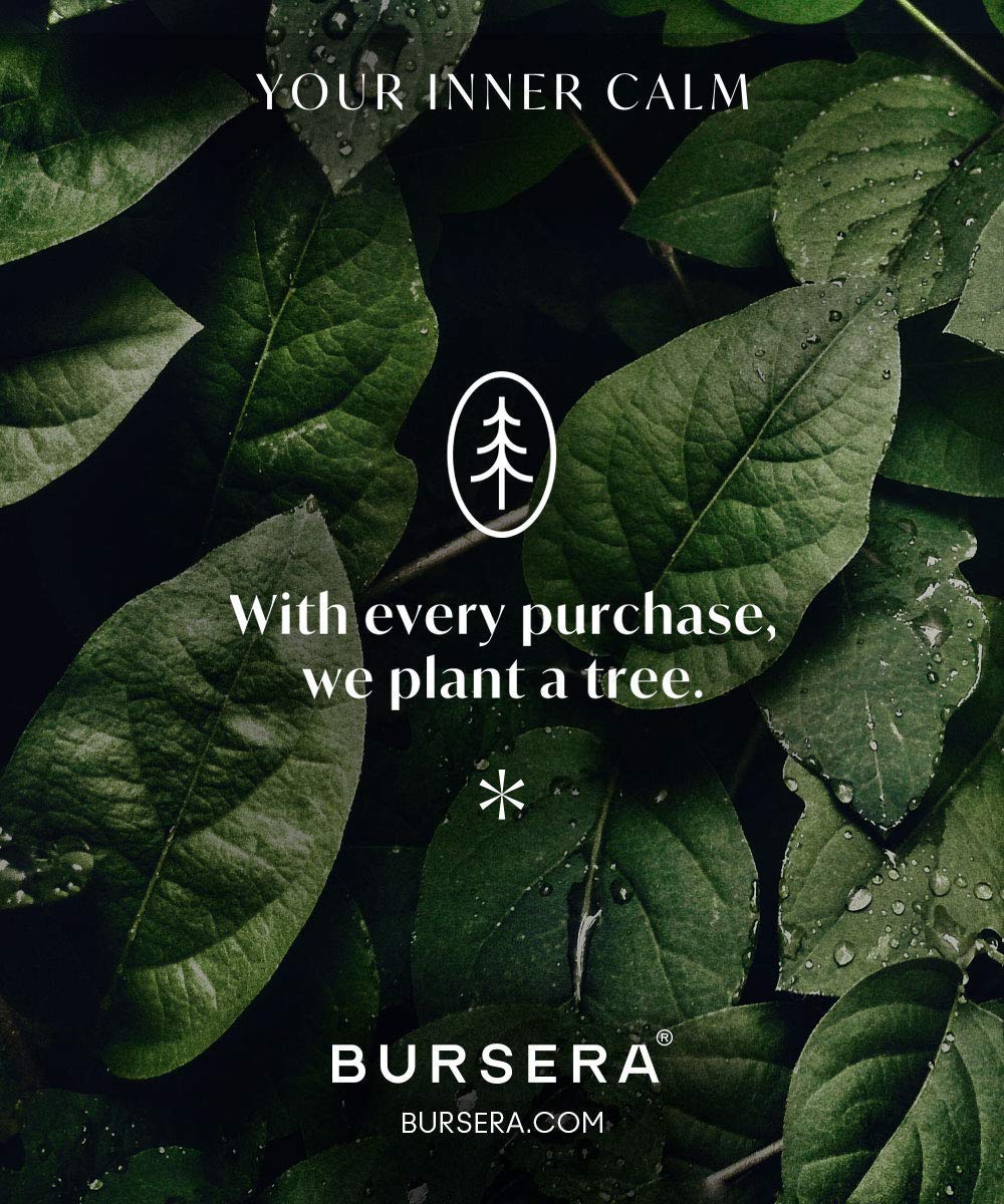 Bursera Terracotta Plate, Tree Planted with Every Order, Oval Smudging Plate for White Sage, Palo Santo Sticks, Decorative Plate, Smudge and Jewelry Plate