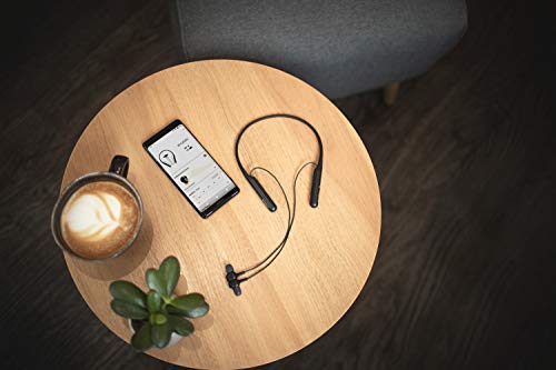 Sony WI-C600N Wireless Noise Canceling in-Ear Headphones, Black (WIC600N/B) (WI-C600N/B)