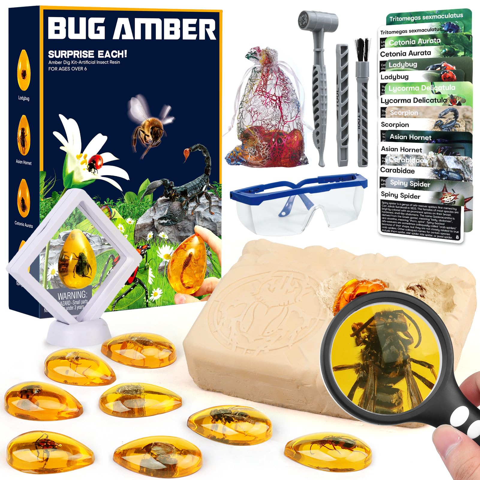 Amber Dig Kit - Insects in Resin, 8 Insects Specimens Excavation Kit, Geographic Bug Toys for Kids, Educational Science Kits for Bugs Collection, STEM Toys for Boys & Girls Age 6 and up Birthday Gift