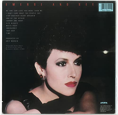 (100) 12 LP Record Outer Sleeves Premium 2 mil Thick Archival Quality, Super Clear #12SB02