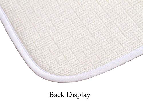 LESGAULEST Doormat Floor Rug/Mat (23.6 x 15.7 inch) - Playa Francesca La Graciosa Canary Islands Volcano