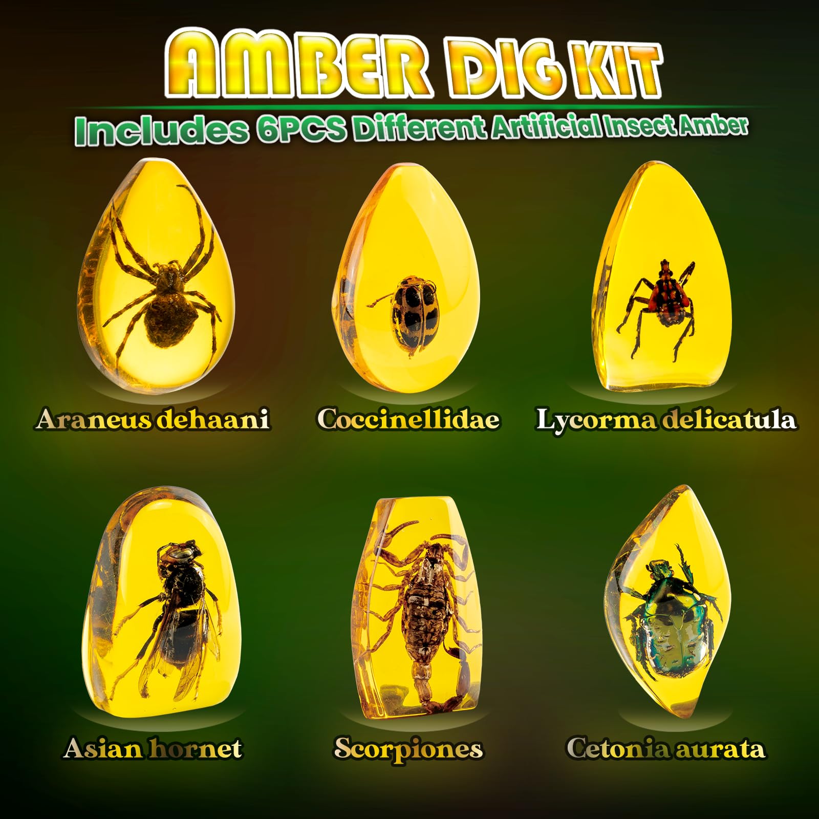 Amber Dig Kit-Artificial Insect Resin, Excavate 6 Insects Specimens, STEM Geographic Educational Bugs Toys, Excavation Toys Science Kit for Fun Bugs Party Favors, Bug Collection Kit for Kids Age 6+