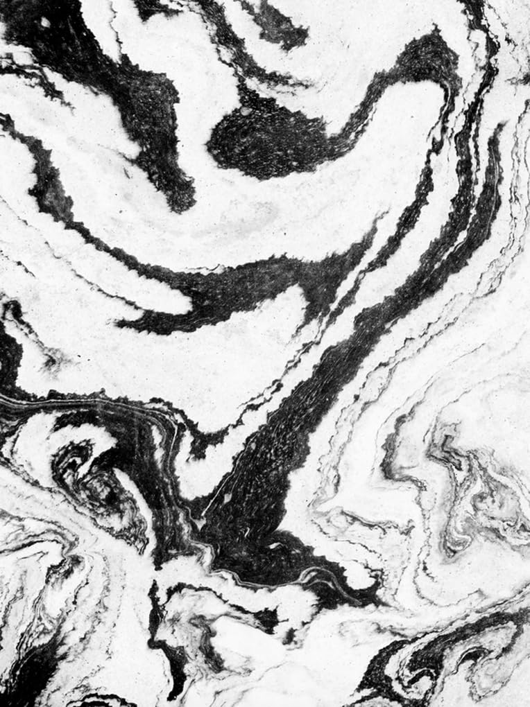 MeganJDesigns Francesca Collection Black and White 2x3 Marble Abstract Area Rug