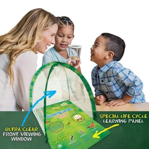 Insect Lore - Butterfly Growing Kit - Clear Front Facing Viewing Panel - Pre-Paid Voucher to Redeem Caterpillars Later – Life Science & STEM Education – Butterfly Science Kit