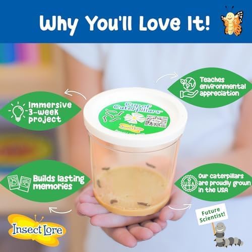 Insect Lore - Butterfly Growing Kit - Clear Front Facing Viewing Panel - Pre-Paid Voucher to Redeem Caterpillars Later – Life Science & STEM Education – Butterfly Science Kit