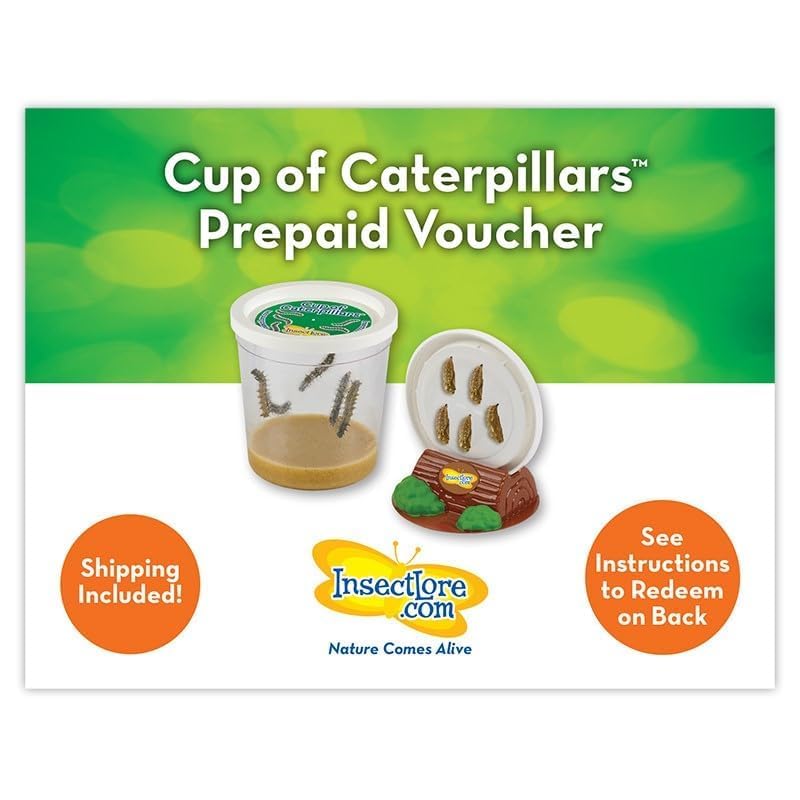 Insect Lore - Butterfly Growing Kit - Clear Front Facing Viewing Panel - Pre-Paid Voucher to Redeem Caterpillars Later – Life Science & STEM Education – Butterfly Science Kit