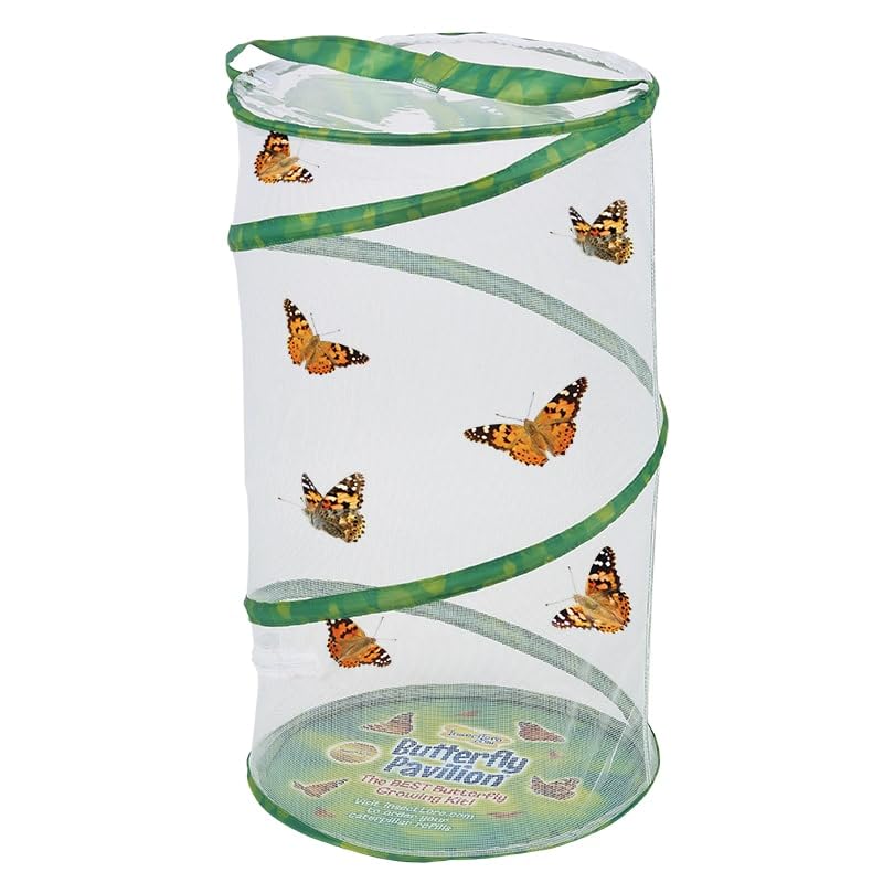 Insect Lore Butterfly Pavilion: Pavilion Habitat and Two Live Cups of Caterpillars with STEM Butterfly Journal โ Life Science & STEM Education โ Butterfly Kit