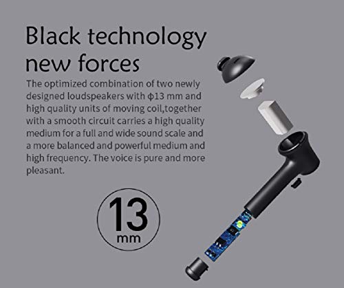 Bluedio Wireless Headphones with Face Recognition Feature, True Wireless Earbuds Bluetooth V5.0 Wireless Earphones Sports Running Headset with Charging Case Built-in Mic (Hurricane-HI Black)