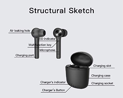 Bluedio Wireless Headphones with Face Recognition Feature, True Wireless Earbuds Bluetooth V5.0 Wireless Earphones Sports Running Headset with Charging Case Built-in Mic (Hurricane-HI Black)