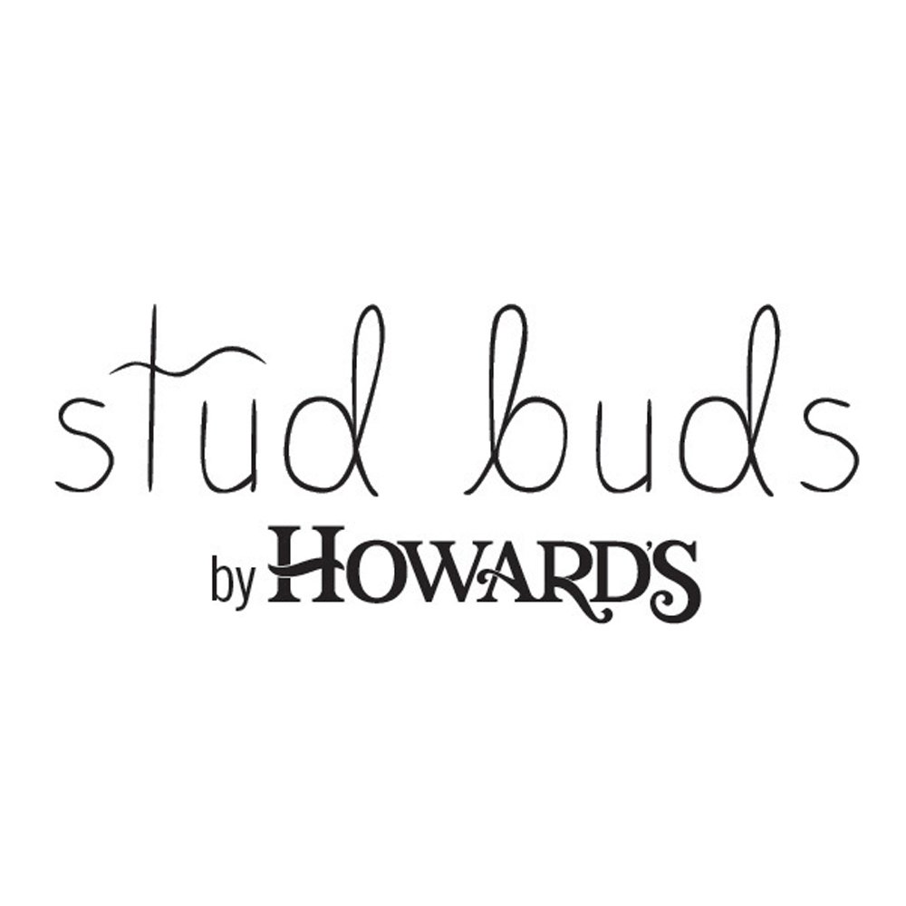 Stud Buds Silver Cactus Nickel Free Earrings from Howard's Inc