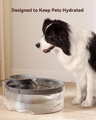 Dog Water Fountain Filters 6 Pack Replacement & Pre-Filter Sponges