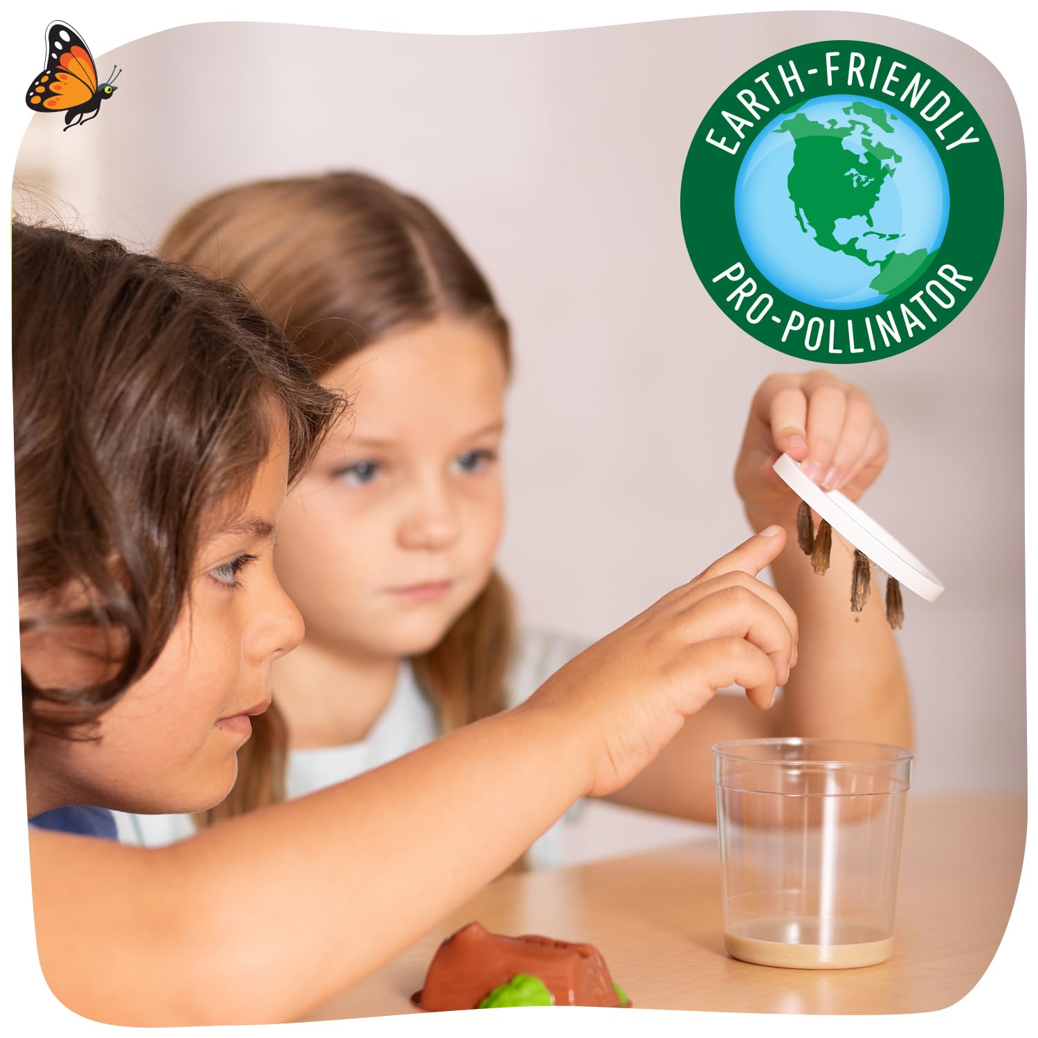 Insect Lore - Butterfly Growing Kit - With Voucher to Redeem Caterpillars Later
