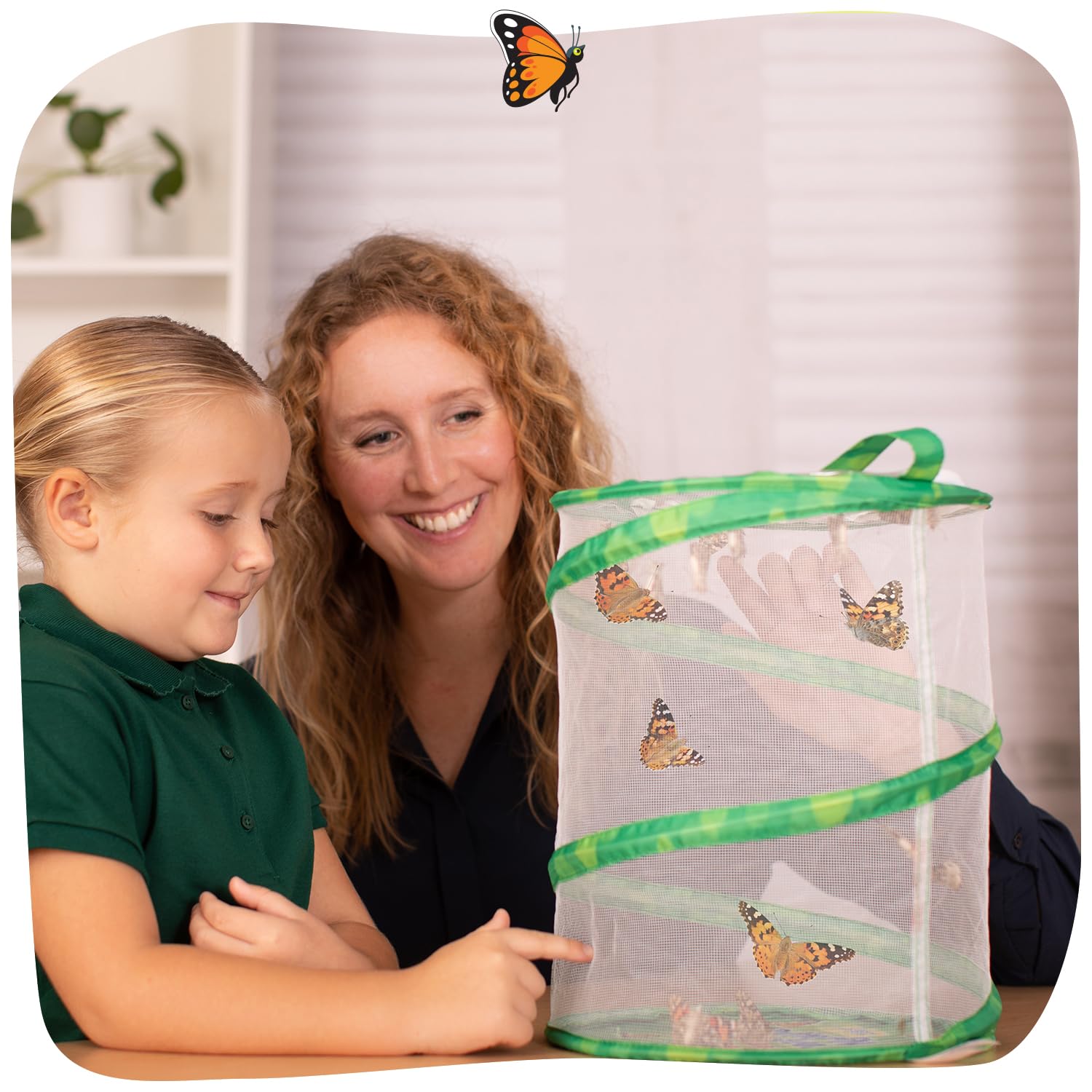 Insect Lore - Butterfly Growing Kit - With Voucher to Redeem Caterpillars Later