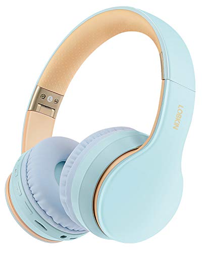 LOBKIN Over Ear Headphones with Microphone, Stereo Hi-Fi Sound Noise Cancelling Headphones, Portable FM Radios TF Foldable Headsets Wireless Bluetooth Headphones (Powder Blue)