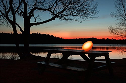 Philips Hue Go Connector LED Smart Portable Light White and Color Ambiance NA Watt Equivalence