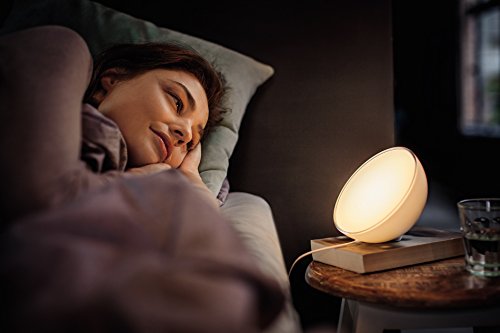 Philips Hue Go Connector LED Smart Portable Light White and Color Ambiance NA Watt Equivalence