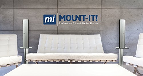 Mount-It! Floor Speaker Stands for Bookshelf Speakers and Surround Sound Home Theaters, 18 Inch High, 22 Lbs Capacity, Tempered Glass and Aluminum, Clear and Silver, One Pair