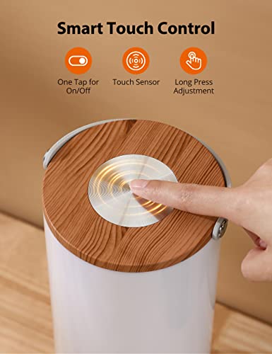 sympa Cordless Table Lamp - 10 Inch Rechargeable LED Desk Lamp, Dimming Bedside Table Lamp for Bedroom and Office, Portable Touch Table Lamp for Outdoor & Camping, 360° Eye-Care Lighting