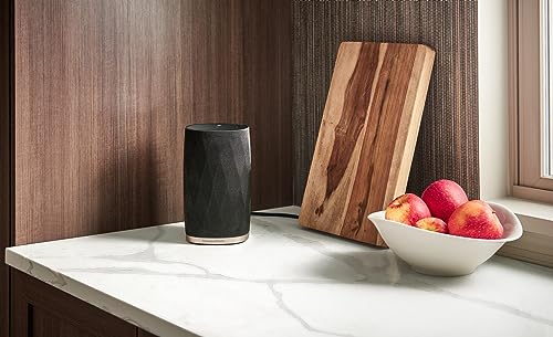 Bowers & Wilkins Formation Flex Wireless Speaker (Single), Multi-Room Music Streaming, (1) 1" Tweeter & (1) 4" Driver, Built-in Bluetooth, AirPlay 2, Wi-Fi & Spotify Connect, Alexa Compatible
