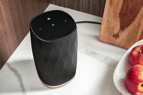 Bowers & Wilkins Formation Flex Wireless Speaker (Single), Multi-Room Music Streaming, (1) 1" Tweeter & (1) 4" Driver, Built-in Bluetooth, AirPlay 2, Wi-Fi & Spotify Connect, Alexa Compatible