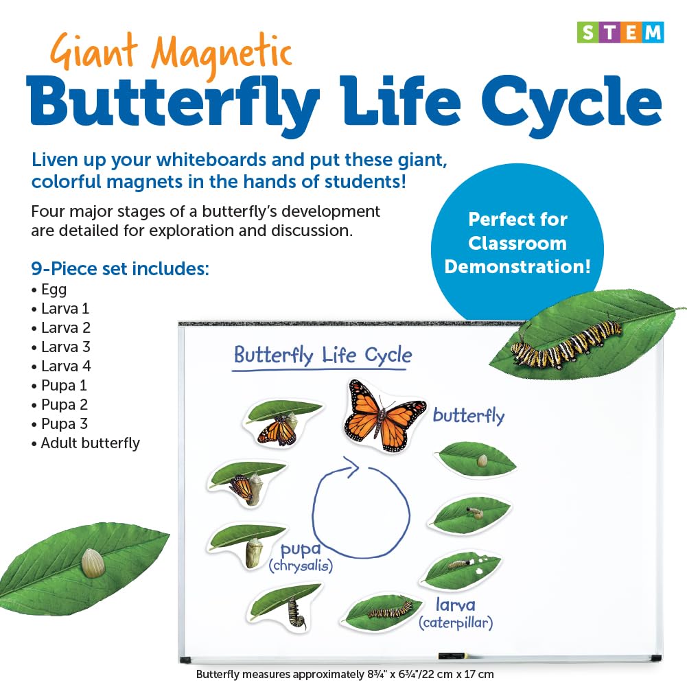 Learning Resources Butterfly Life Cycle, 9 Write and Wipe Pieces, Classroom Accessories, Teaching Aids, Ages 5+