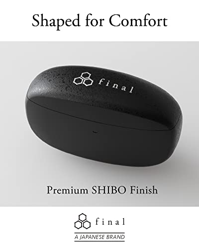 Final ZE3000 True Wireless Earbuds, Hi-Fi Sound Quality, Maximum 35 Hours Music Playback, IPX4, aptX Adaptive, Touch Sensor, Support Lossless Music Format, Designed in Japan (Black)