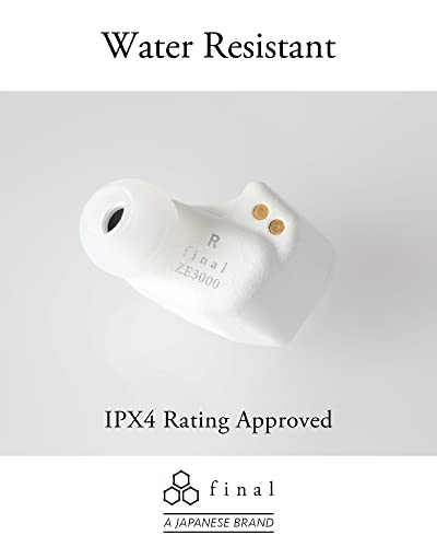Final ZE3000 True Wireless Earbuds, Hi-Fi Sound Quality, Maximum 35 Hours Music Playback, IPX4, aptX Adaptive, Touch Sensor, Support Lossless Music Format, Designed in Japan (Black)