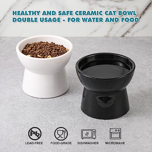 Elevated Cat Water Bowl - Raised Ceramic Cat Food Dish - Anti Vomiting - Extra Wide Whisker Friendly - Microwave & Dishwasher Safe - 6.1 inch - 18.5 oz - 550 ml