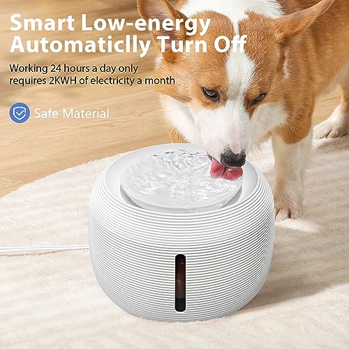 YDRQEA Cat Water Fountain, Water Fountain for Cats Inside Ultra Quiet Pet Water Fountain for Cats, 84 fl oz/2.5L Automatic Cat Drinking Fountain White, 2 Pack Filters.