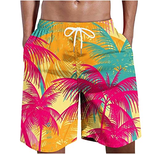 Mittory Mens Swimming Shorts Quick Dry Beach Trunks Elastic Waist Printed Hawaiian Swimwear Bathing Suits Rugs 8x10 Clearance Prime