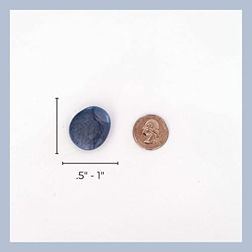 PolyPebbles Polished Composite Decorative Stones | Triple The Coverage of Natural Stone | 100% Recycled Materials + Nature Friendly | Won't Fade or Crack | Small (.5" - 1") Size | 2.4 Lbs Light Grey