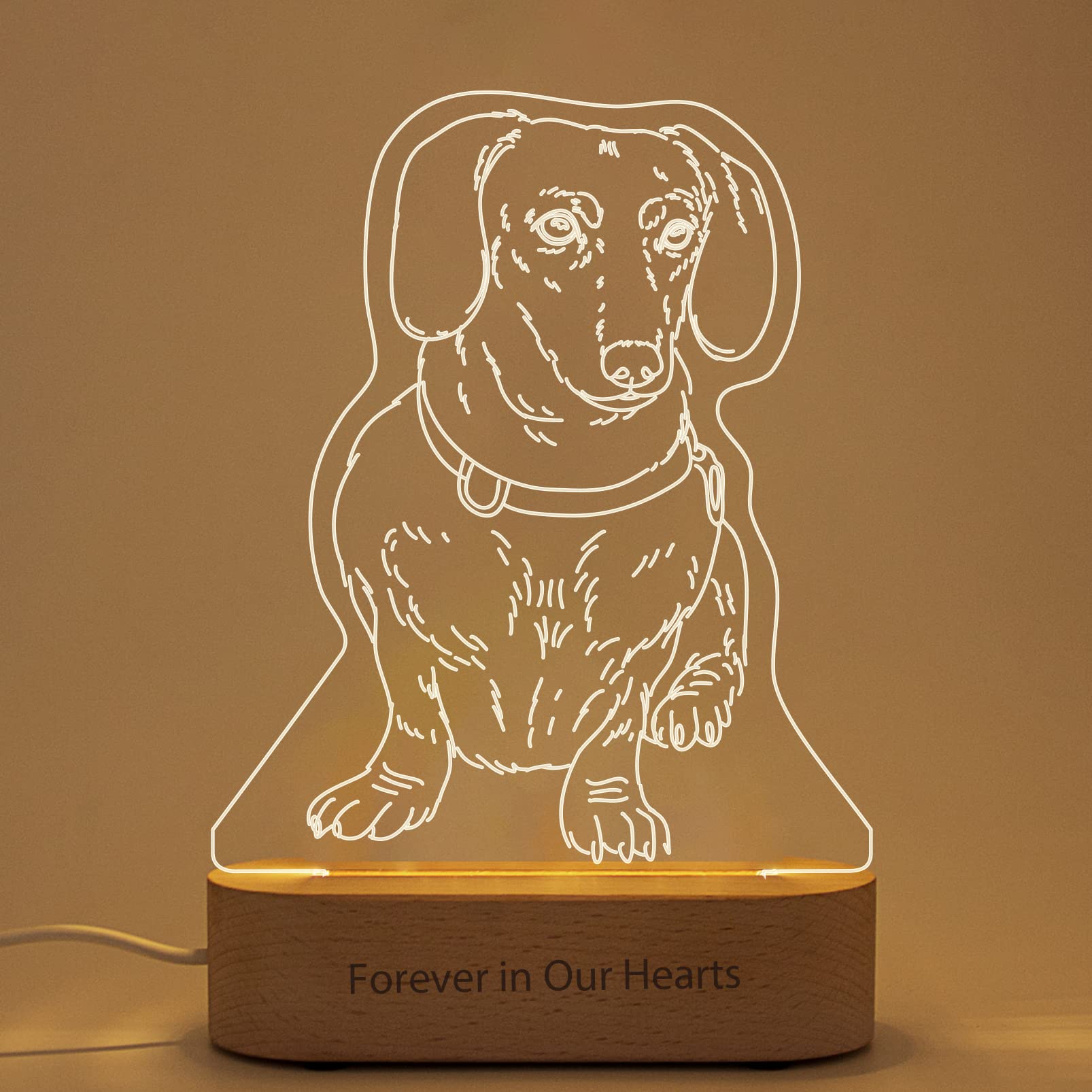 Magic Lunar Custom 3D Photo Lamp Personalized Portrait Illusion Night Light Cube Light Up Picture Engraved Plaque Frame Things Remembered 21th Birthday Gifts Using My Own Photos for Men Women Him Her